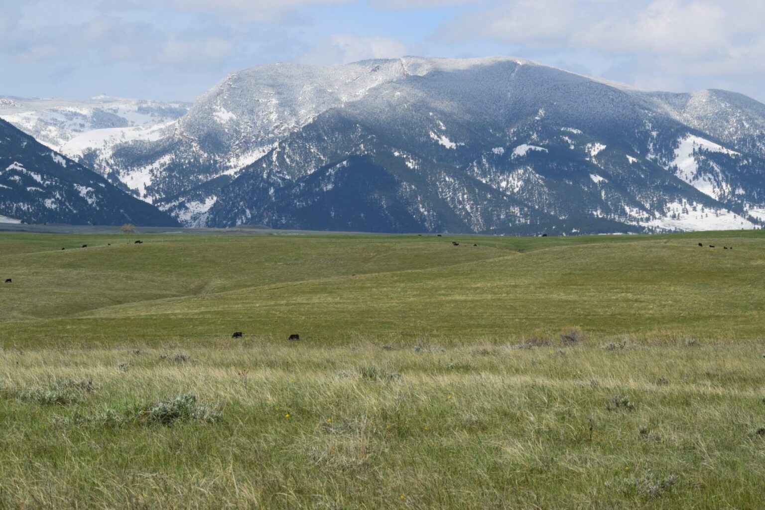 Tate Land - Wyoming Mountain View Land for Sale