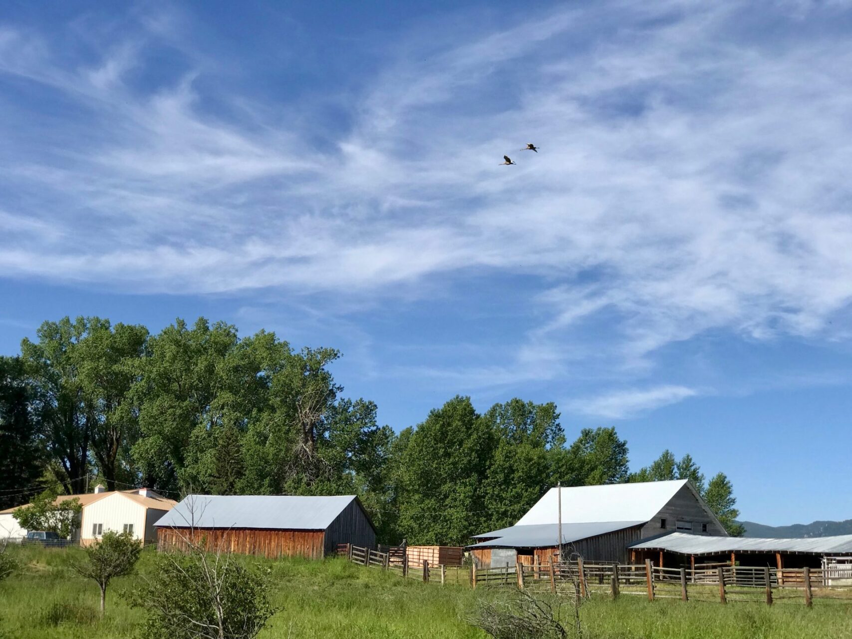 Wagner Ranch - Chase Brothers Land and Ranch