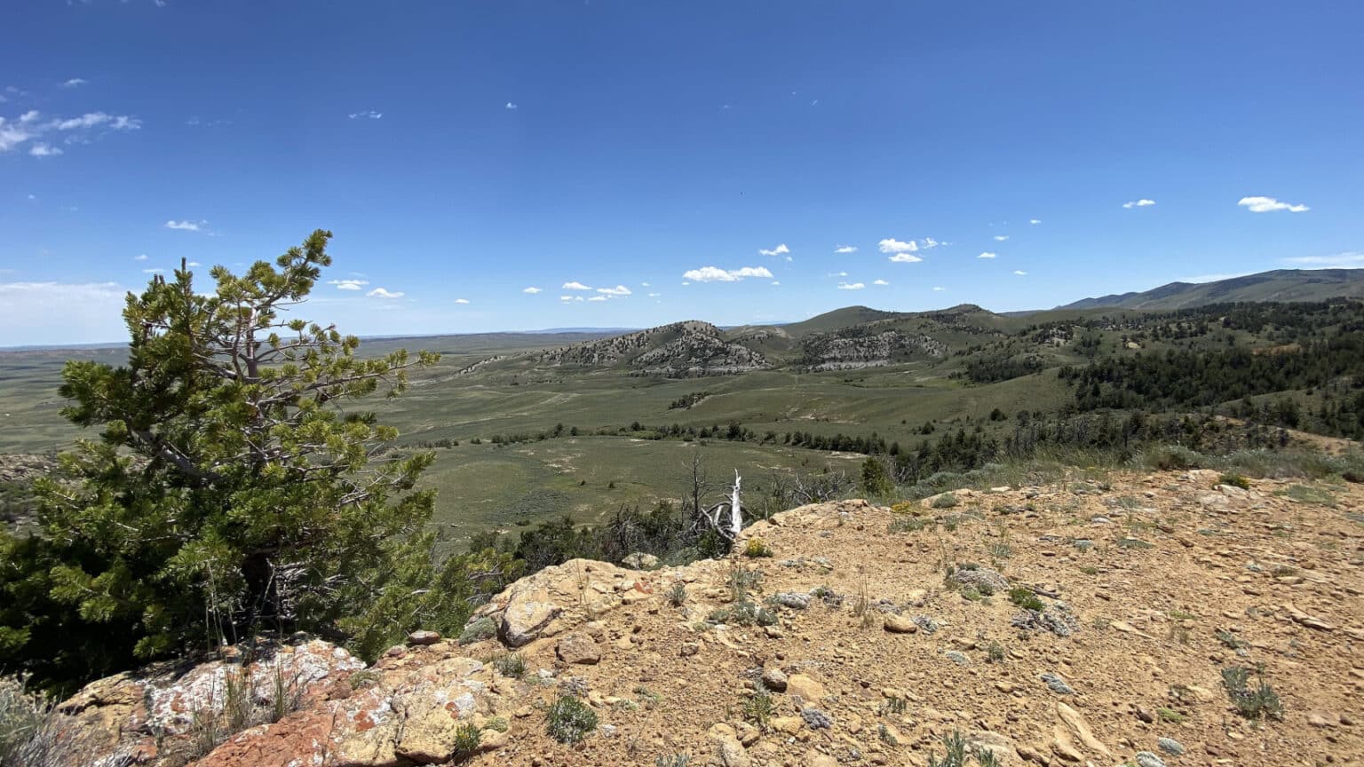 Ervay Basin Grass Ranch - Chase Brothers Land and Ranch Brokers