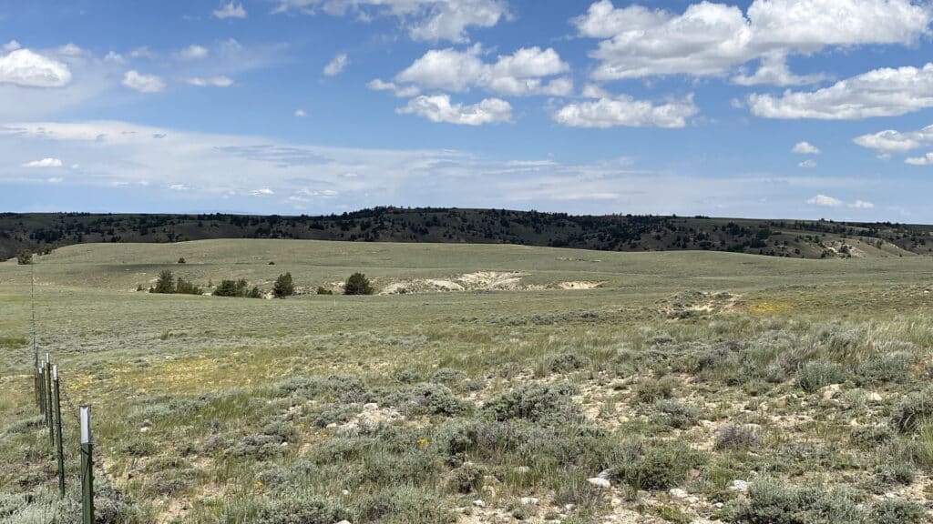 Ervay Basin Grass Ranch - Chase Brothers Land and Ranch Brokers