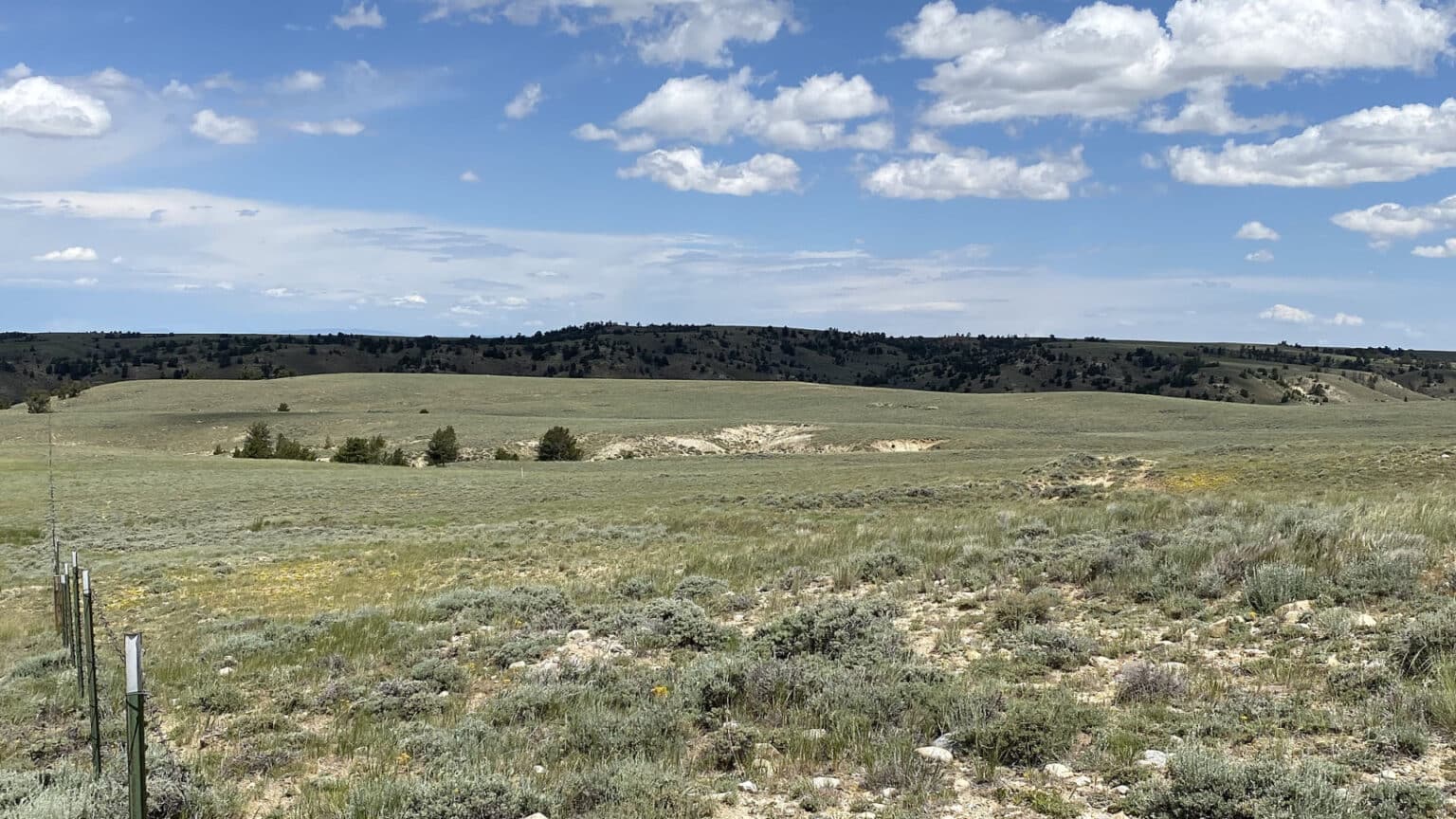 Ervay Basin Grass Ranch - Chase Brothers Land and Ranch Brokers