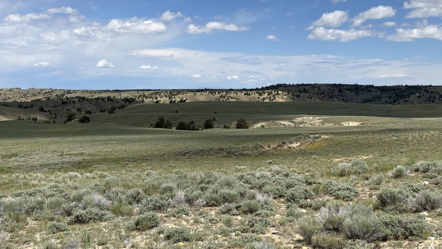 Ervay Basin Grass Ranch - Chase Brothers Land and Ranch Brokers