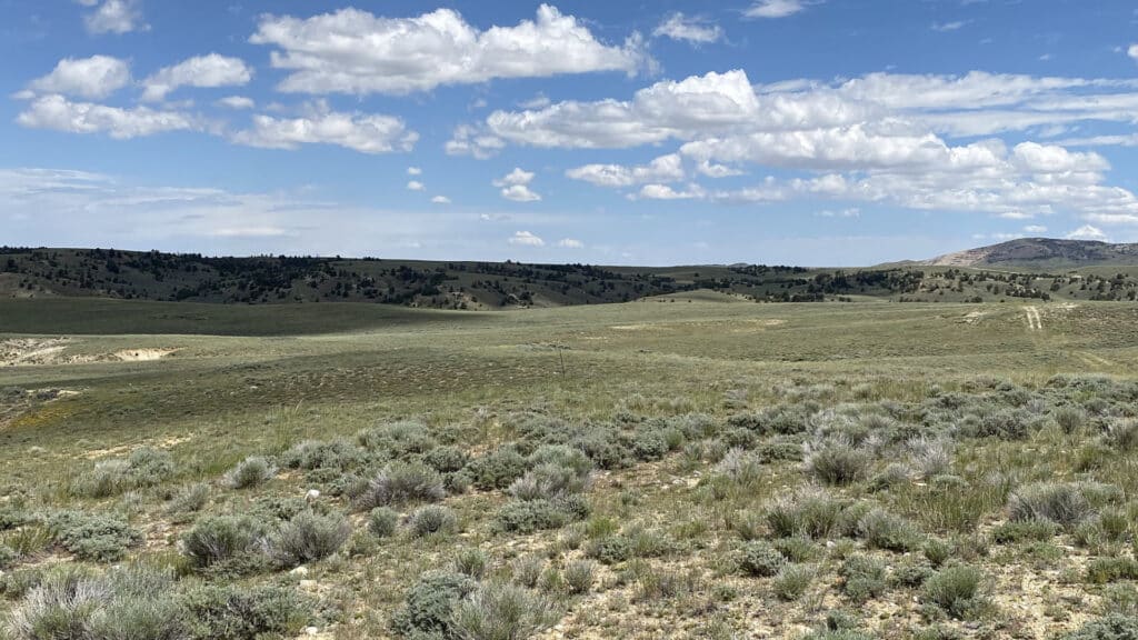 Ervay Basin Grass Ranch | Chase Brothers Land and Ranch