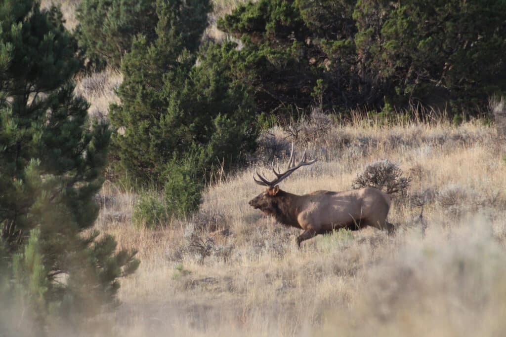 Decker Montana Cattle and Hunting Ranch for Sale