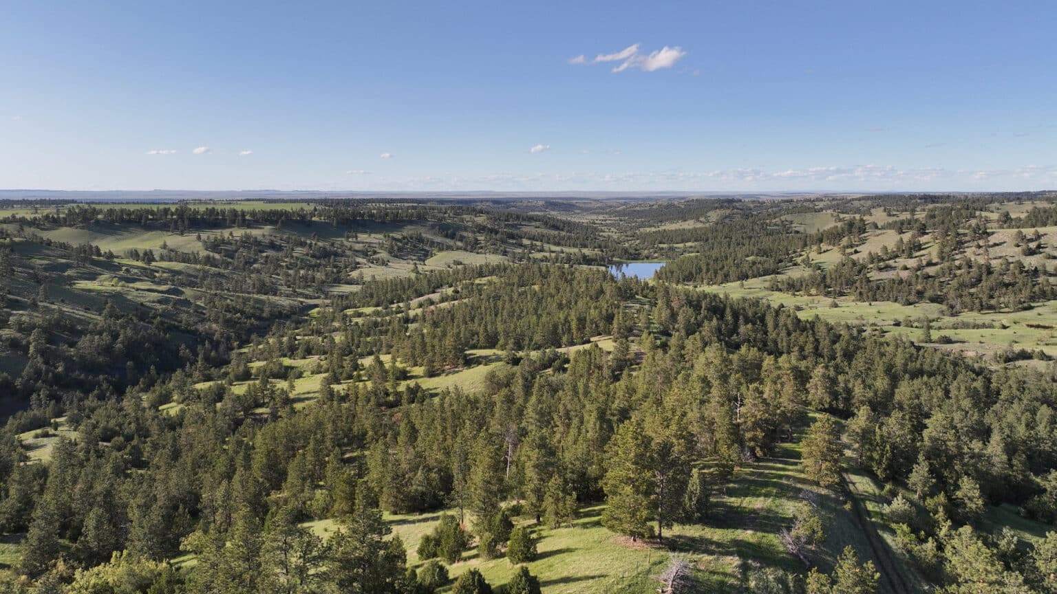 New Haven Ranch - Chase Brothers Land and Ranch