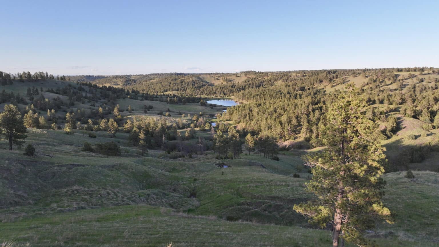 New Haven Ranch - Chase Brothers Land and Ranch