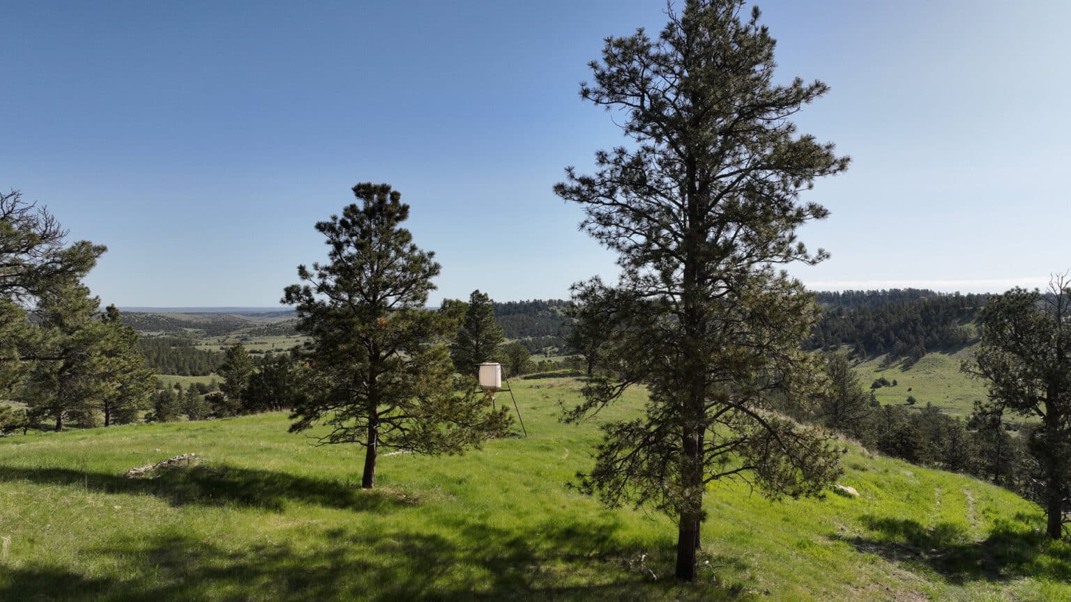 New Haven Ranch - Chase Brothers Land and Ranch