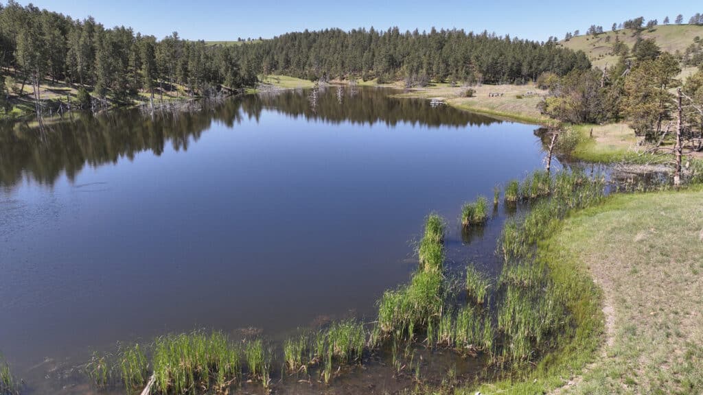 New Haven Ranch - Chase Brothers Land and Ranch